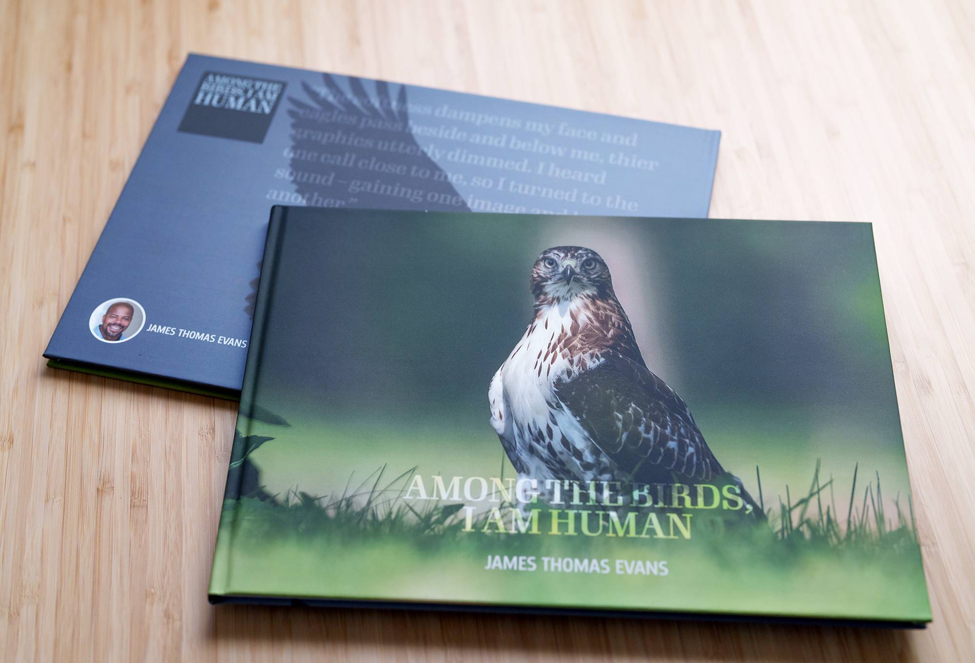 Among the Birds I am Human