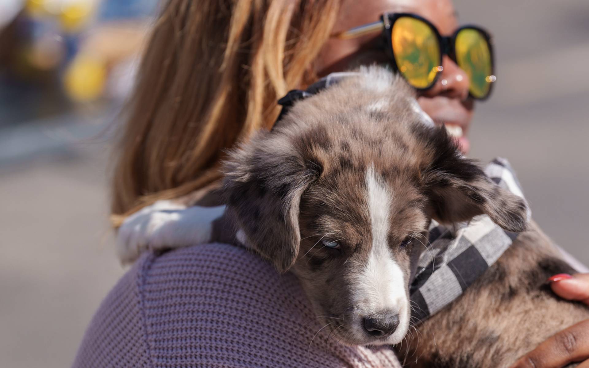 Community Animal Care