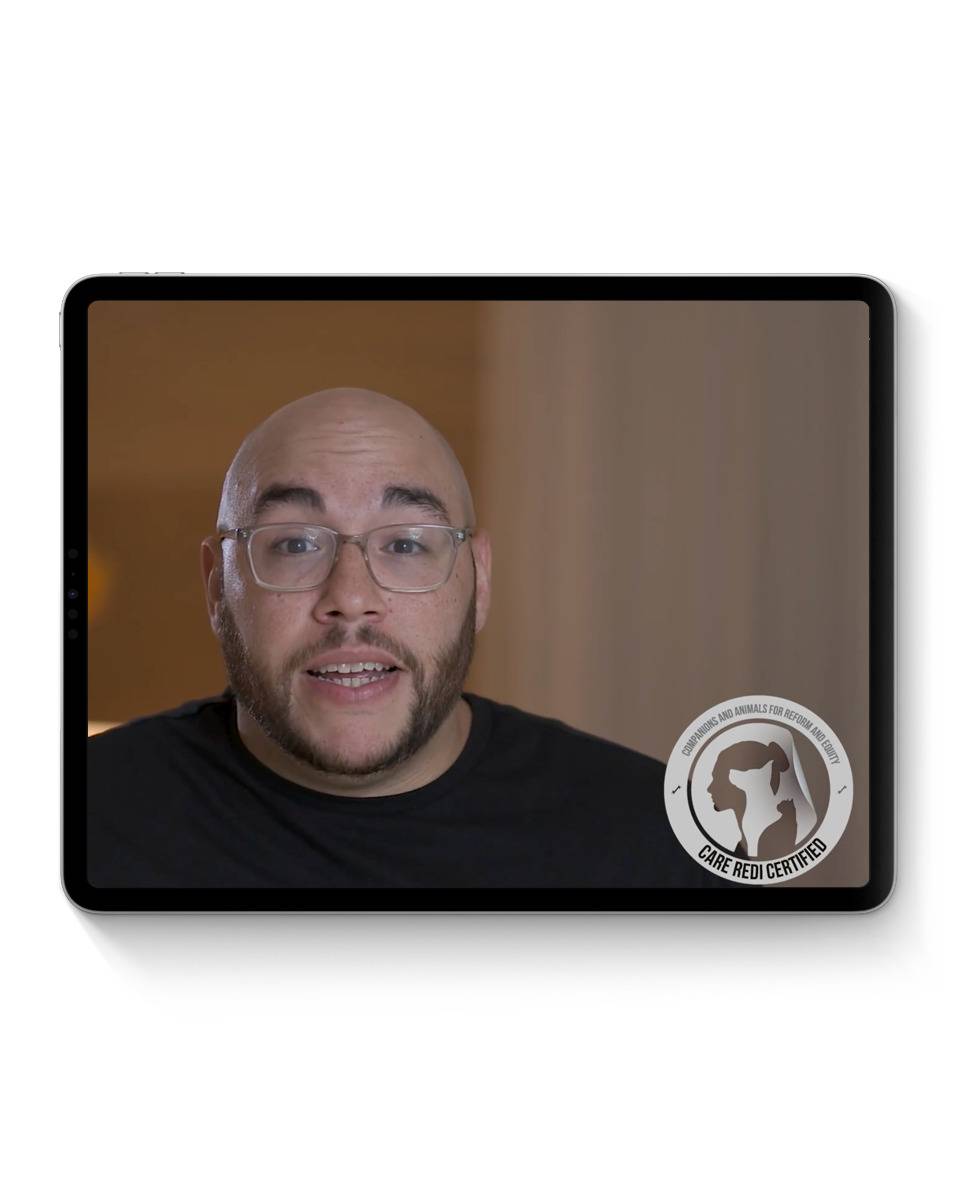 CARE's REDI Certification focuses on Racial Equity, Diversity and Inclusion